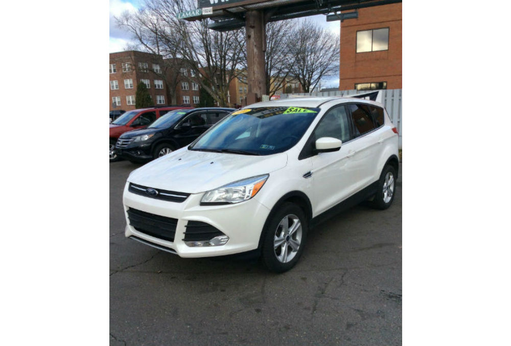 Past Sales | Auctions | PPL Group